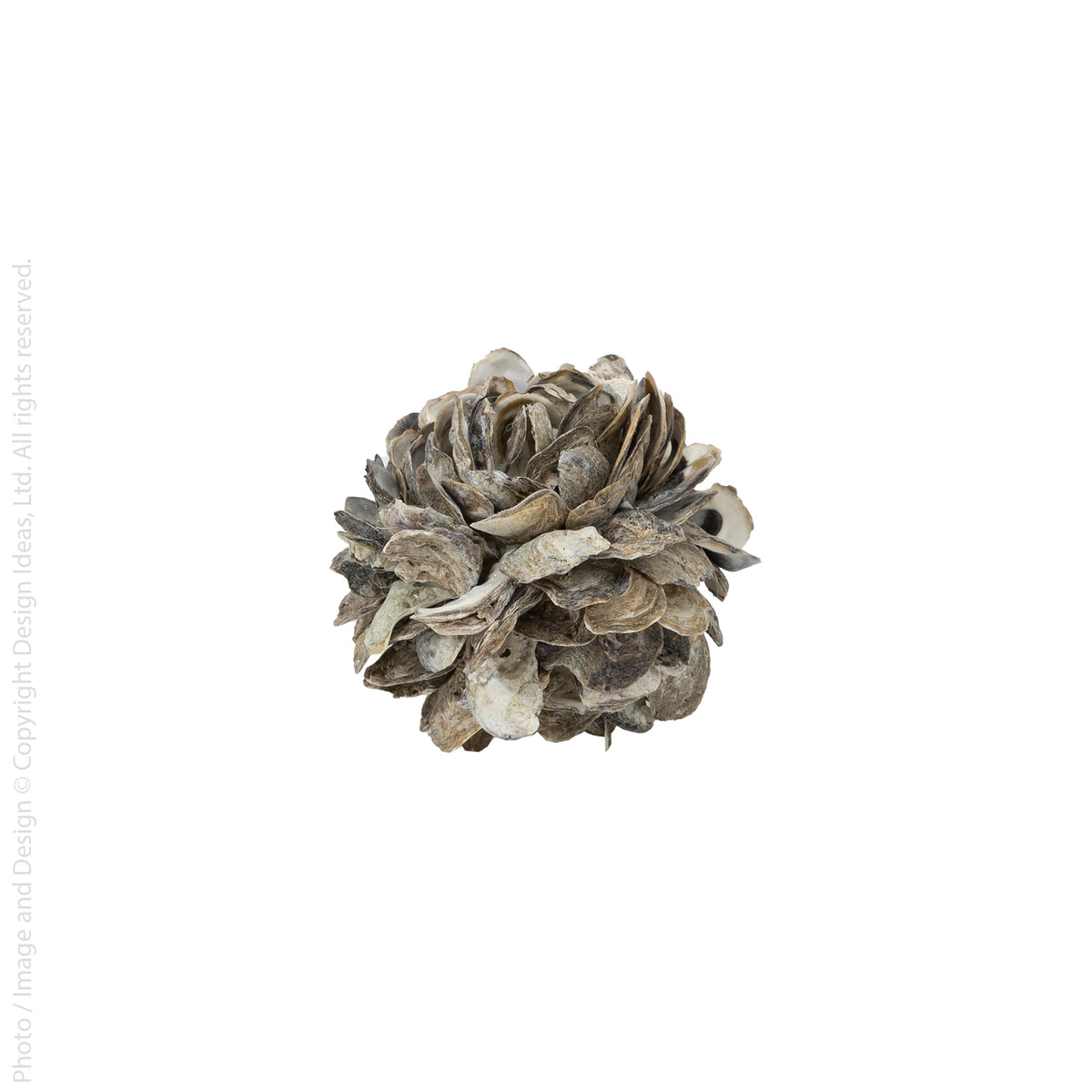 Concha™ decoration (small) — Design Ideas